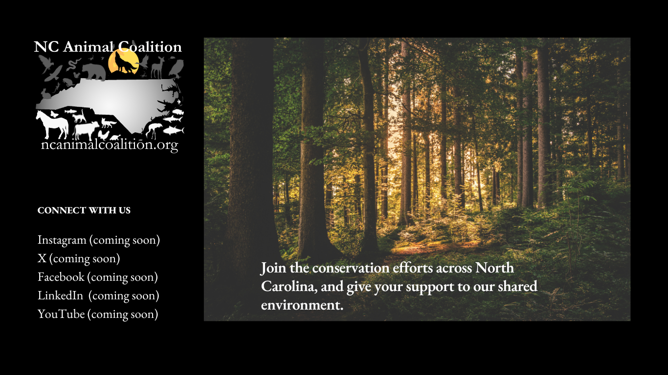 About NC Animal Coalition – NC Animal Coalition